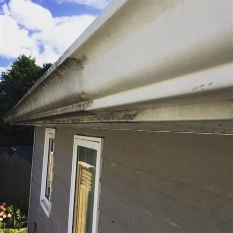 Powerwashing Services Lighthouse Windows And Cleaning Services