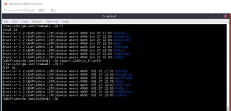 Linux Workspaces Tennisluli