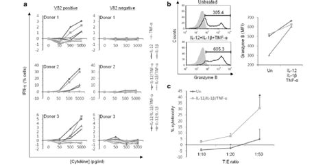 Il 12 Il 1 And Tnf Induce T Cell Ifn Production And Cytotoxicity A