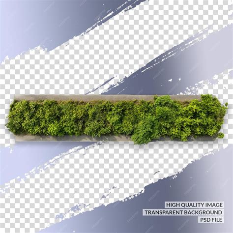 Трава Png 3d Png клипарт прозрачный изолированный фон Премиум Psd Файл