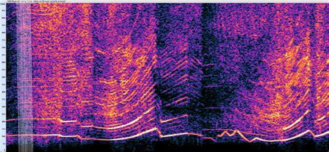 A Spectrogram To Die For By Flopex Not Just Car Noises