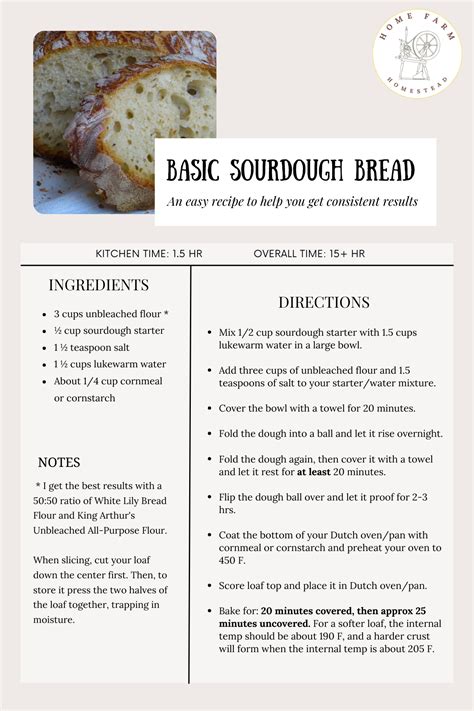 Basic Sourdough Bread Recipe Beginners Guide From Starter To Finish