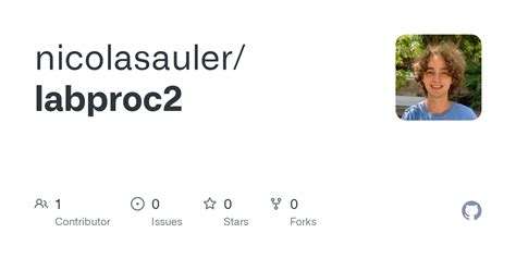 Github Nicolasauler Labproc