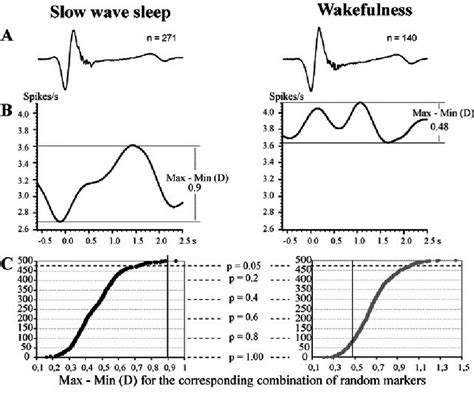 A Averaged Cycle Of Duodenal Myoelectrical Activity With Download Scientific Diagram