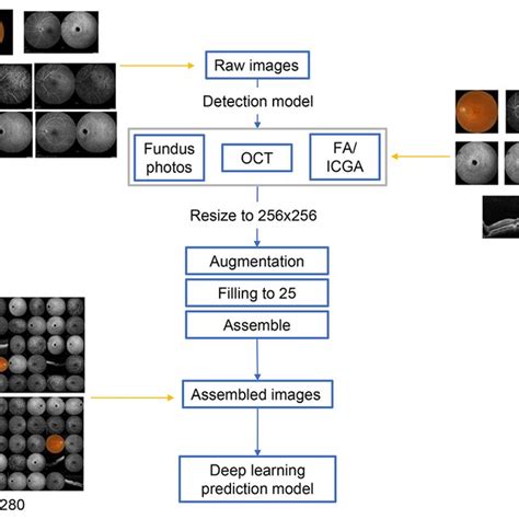 Flowchart Of Multimodal Image Management And Processing Oct Optical