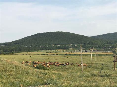 სოფელი მლაშე დუშეთის მუნიციპალიტეტი Village Mlashe Dusheti Municipality Home Facebook