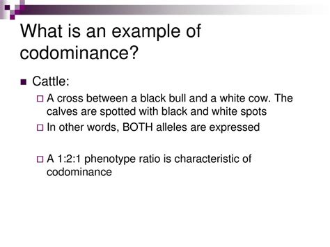 Bellringer HAVE A SEAT In A Desk No One At Lab Benches Ppt Download