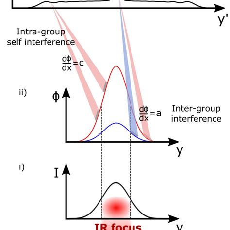 Schematic Diagram Illustrating How The Spatial Intensity Profile Within Download Scientific