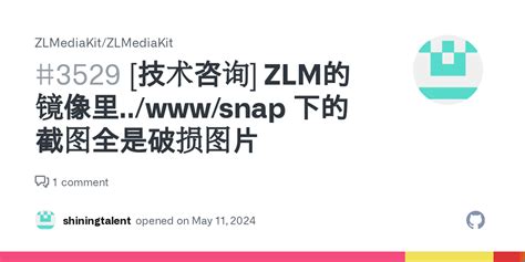 技术咨询 Zlm的镜像里snap 下的截图全是破损图片 · Issue 3529 · Zlmediakit