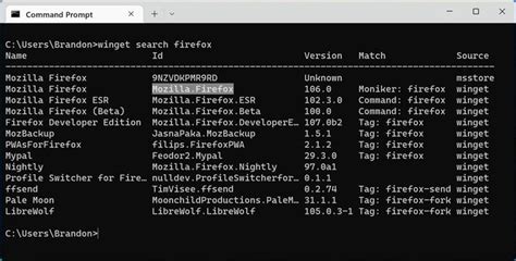 How To Use Windows Package Manager To Easily Install And Update