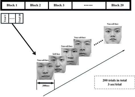 Details Of The Experimental Stimulus Download Scientific Diagram