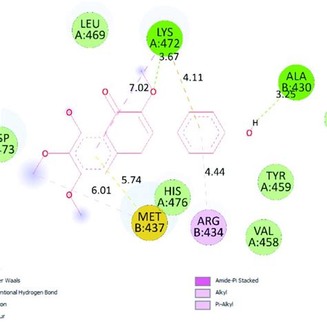 The Significant Ligand Interactions Between Ranked Pose 139 One Ranked