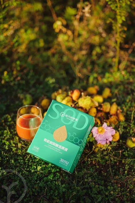 远方的梦想有机刺梨酵活原液 药食同源原浆类 远方好物 远方安选开店加盟 健康安全食品平台招募实体店主 注册会员 服务商与优质供应商加盟 欢迎