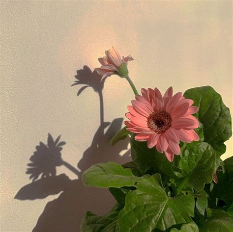 Yvonne On Instagram Happy Monday ☁️☕️ 🌸 Its A Day Not My Favourite But Keep Smiling ☺️