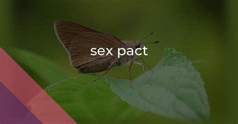 sex pact idiom meaning and origin the village idiom