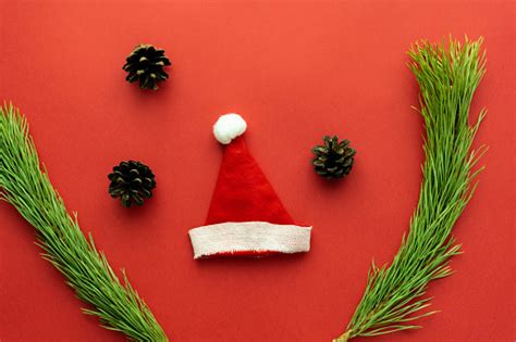 빨간색 배경에 가문비 나무 가지와 원뿔 크리스마스 구성 산타 클로스 모자 개념에 대한 스톡 사진 및 기타 이미지 개념 개념과 주제 개인 장식품 Istock