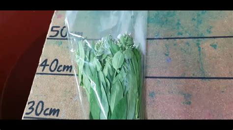 후록스핑크생화 꽃집 꽃집창업 꽃값 온라인꽃시장 온라인꽃도매 인터넷꽃시장 인터넷꽃도매 서울꽃시장 꽃농장 꽃배송 생화배송 생화도매 생화택배 꽃배달 생화배달 생화주문 생화부케