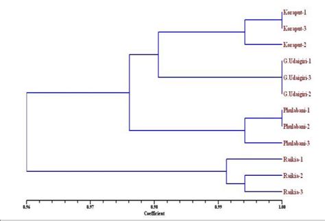 Dendrogram Showing Genomic Relationship Within Populations In C Download Scientific Diagram