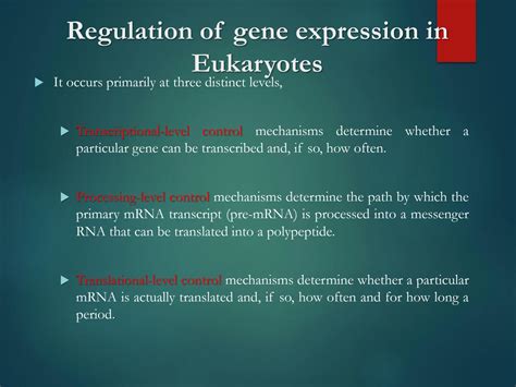 Solution Regulation Of Gene Expression Studypool
