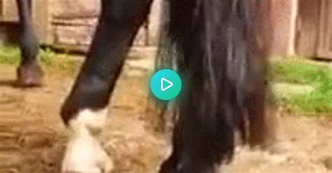 This Cant End Well  On Imgur