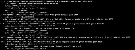 Why Do I Have Ipv Addr General Support Unraid