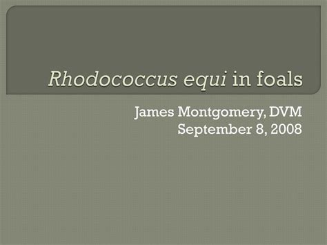 Ppt Rhodococcus Equi In Foals Powerpoint Presentation Free Download Id 4088757