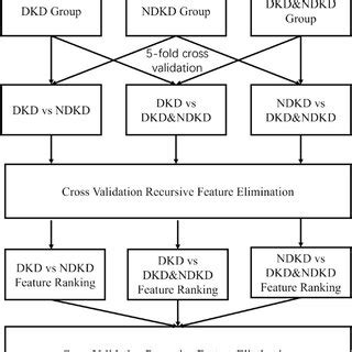 The Model Construction Workflow Download Scientific Diagram