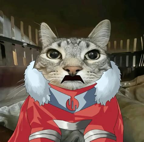 Thragg Cat Invincible Pfp Thragg Invincible Pfp Meme Invincible Cat