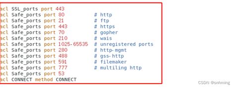 linux配置squid服务 代理实现解析dnc（国赛linux服务器） squid dns csdn博客