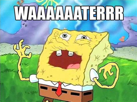 17 Times Spongebob Squarepants Was Probably High Af Huffpost