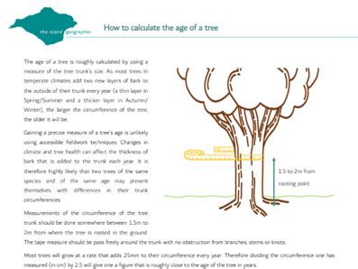 How To Calculate The Age Of A Tree Teaching Resources