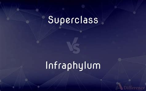 Superclass Vs Infraphylum — Whats The Difference