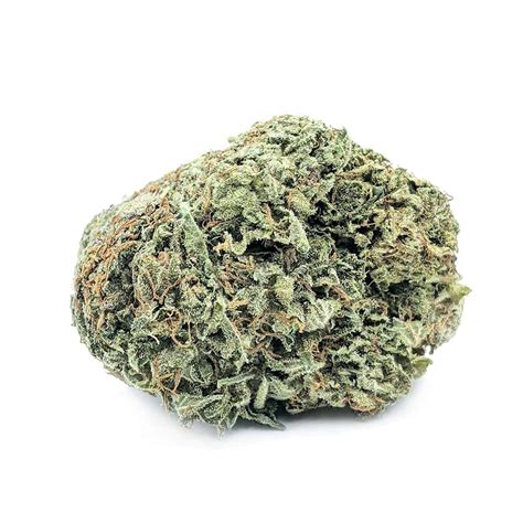 Stinky Pussy Aaa Budget Buds Buy Weed Online Online Dispensary