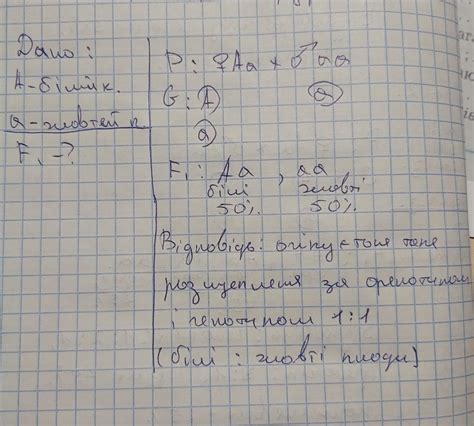 У гарбузів білий колір плодів домінантна ознака жовте забарвлення плодів рецесивна ознака