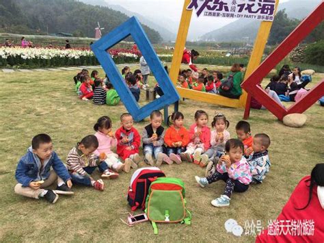 灣里太平鎮歡樂葵園 鬱金香文化節一萬多盆風信子 等你帶回家 每日頭條