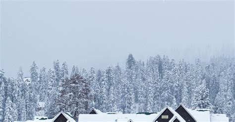 4k 바탕화면 8k Wallpaper 감기 겨울 겨울 동화나라 겨울 마술 겨울 여행 겨울 풍경 겨울 휴양지 겨울의 집 경치 경치가 좋은 계절 고요한