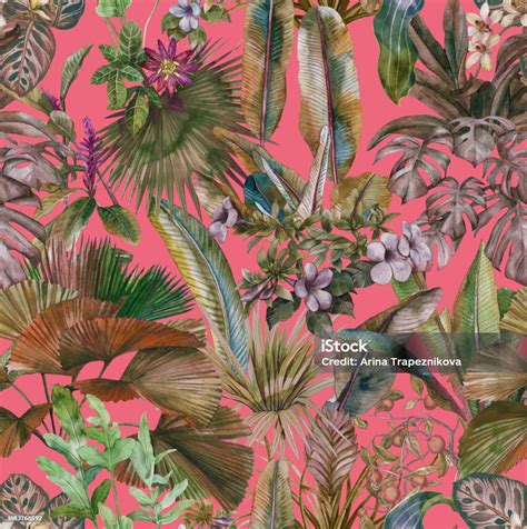 열대 식물 벽지입니다 열대 나뭇잎과 꽃이 있는 매끄러운 패턴 수채화로 그린 스톡 일러스트레이션 0명에 대한 스톡 벡터 아트 및 기타 이미지 Istock