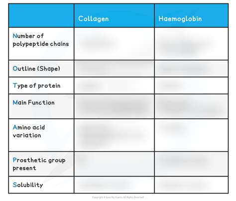 2 9iv Globular And Fibrous Proteins Diagram Quizlet