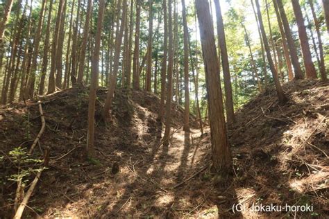 陸奥 水沼館の写真集 城郭放浪記