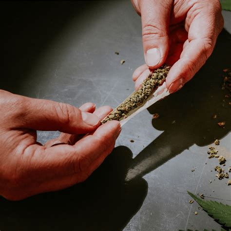 Unlock The Art Of Hash Hole Rolling A Guide For Beginners