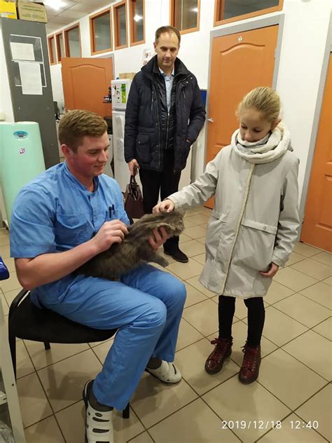 19 декабря клиника Пёс и кот провела благотворительное мероприятие Стань частью Чуда дня