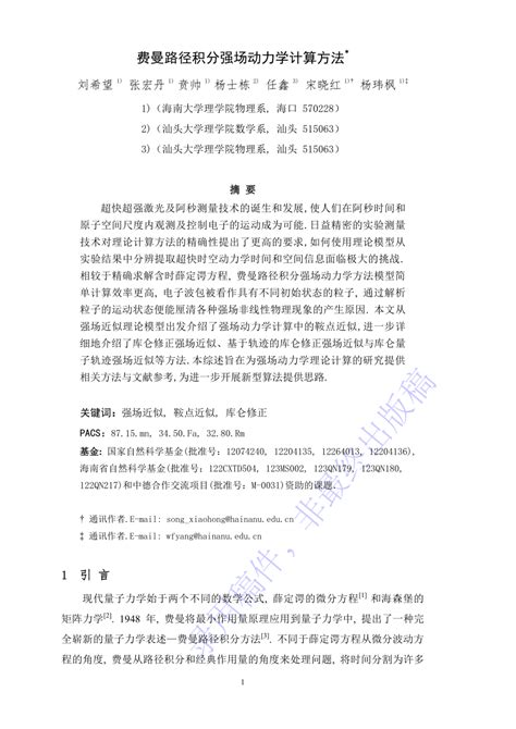 Pdf Feynmans Path Integral For Strong Field Dynamics Method