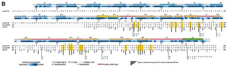 A Stereo Diagram Of The 17 A Ê Resolution Electron Density Map Download Scientific Diagram