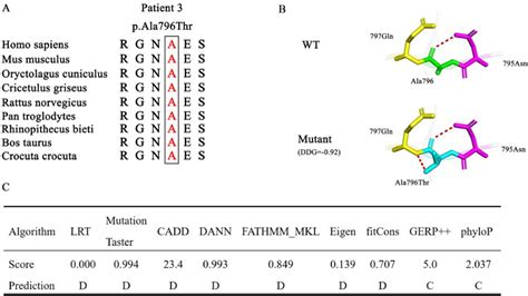 Scaf4 Variants Associated With Focal Epilepsy Accompanied By Multisystem Disorders Seizure