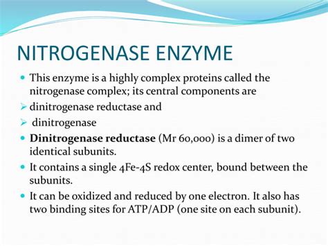 Structure Of Nitrogenase Enzyme Group 8 Ppt Pptx