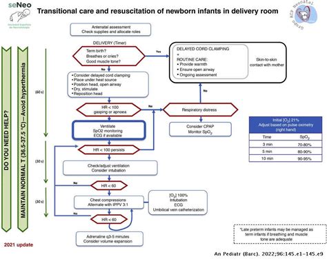 Neonatal Resuscitation Algorithm