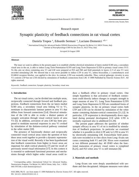 PDF Synaptic Plasticity Of Feedback Connections In Rat Visual Cortex DOKUMEN TIPS