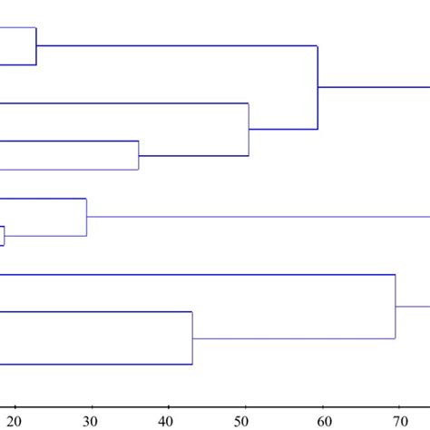 Fruit Matrix Dendrogram Of The Genetic Dissimilarity Between 20 Download Scientific Diagram
