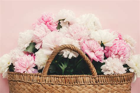 분홍색 종이 플랫에 분홍색과 흰색 모란이 있는 세련 된 빨 대 소박한 바구니 텍스트 공간으로 누워 있습니다 안녕하세요 여름 국제 여성의 날입니다 행복 한 어머니의 날입니다