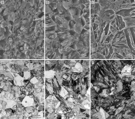 Sem Images A C And Tem Bright Field Images D F Showing The